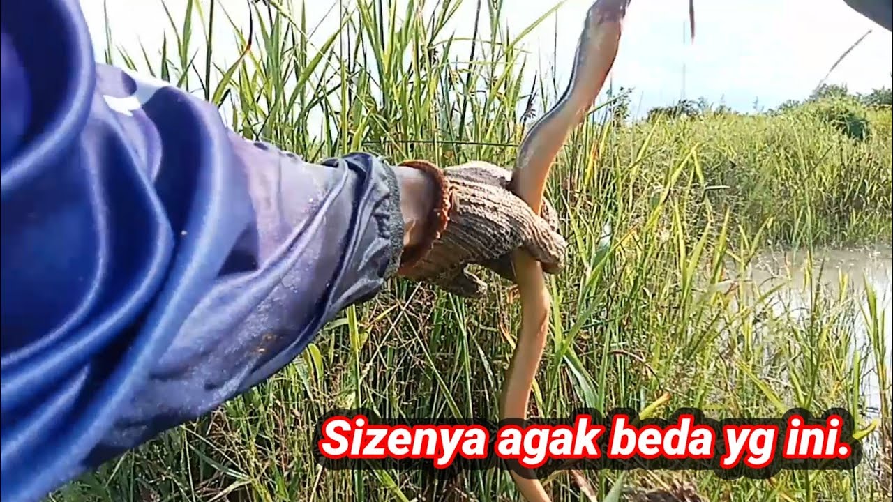 Selamat tahun baru 2025 || Tahun baru rejeki baru. - YouTube