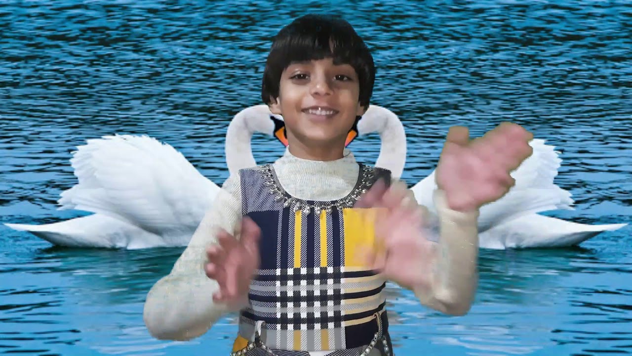 Heart Touching Real Story of two Swan | Kids Corner by Adya Singh - YouTube