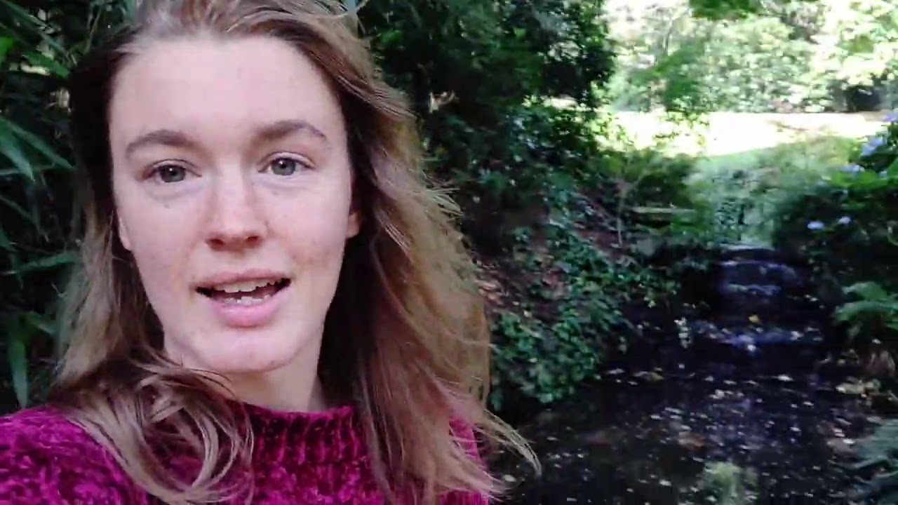 Amy Kelly's Instagram, Twitter & Facebook on IDCrawl