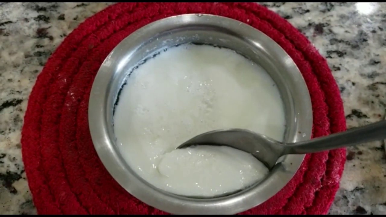 How to make culture and yogurt/Curd at home. - YouTube