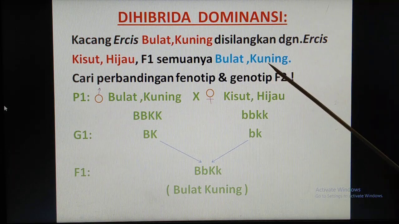 (6)PERSILANGAN DIHIBRIDA - YouTube