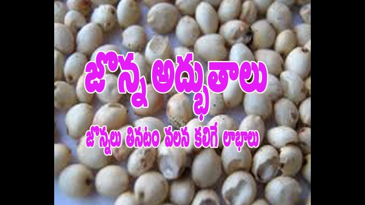 Health Benefits of Jonnalu. OR Jowar Health Uses In Telugu. - YouTube