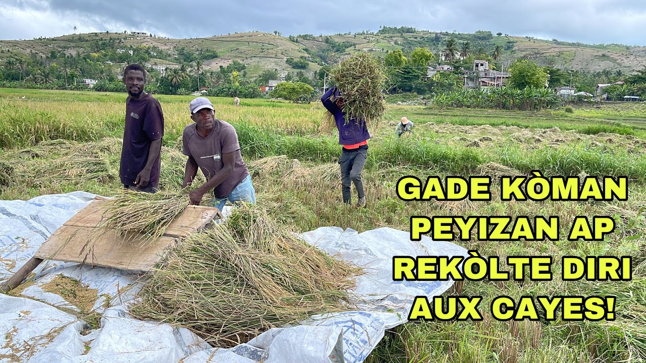 Wow Sa Bèl Anpil🇭🇹Haïti Pa Fini, Gad Kijan Peyizan Aux Cayes Yo Ap ...