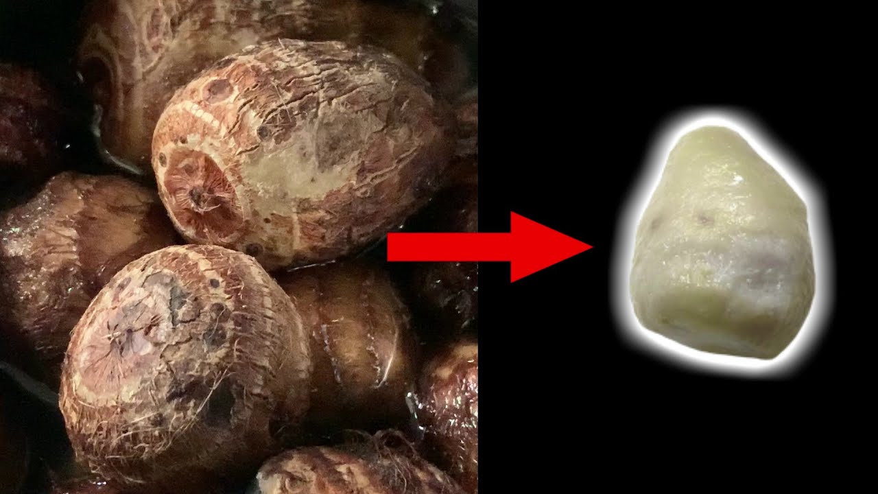 LIFE HACK Very Easy! way to peel taro #cooking #howto #shorts - YouTube