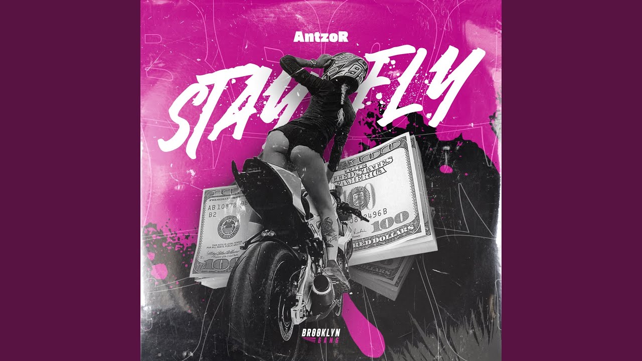 Stay Fly - YouTube