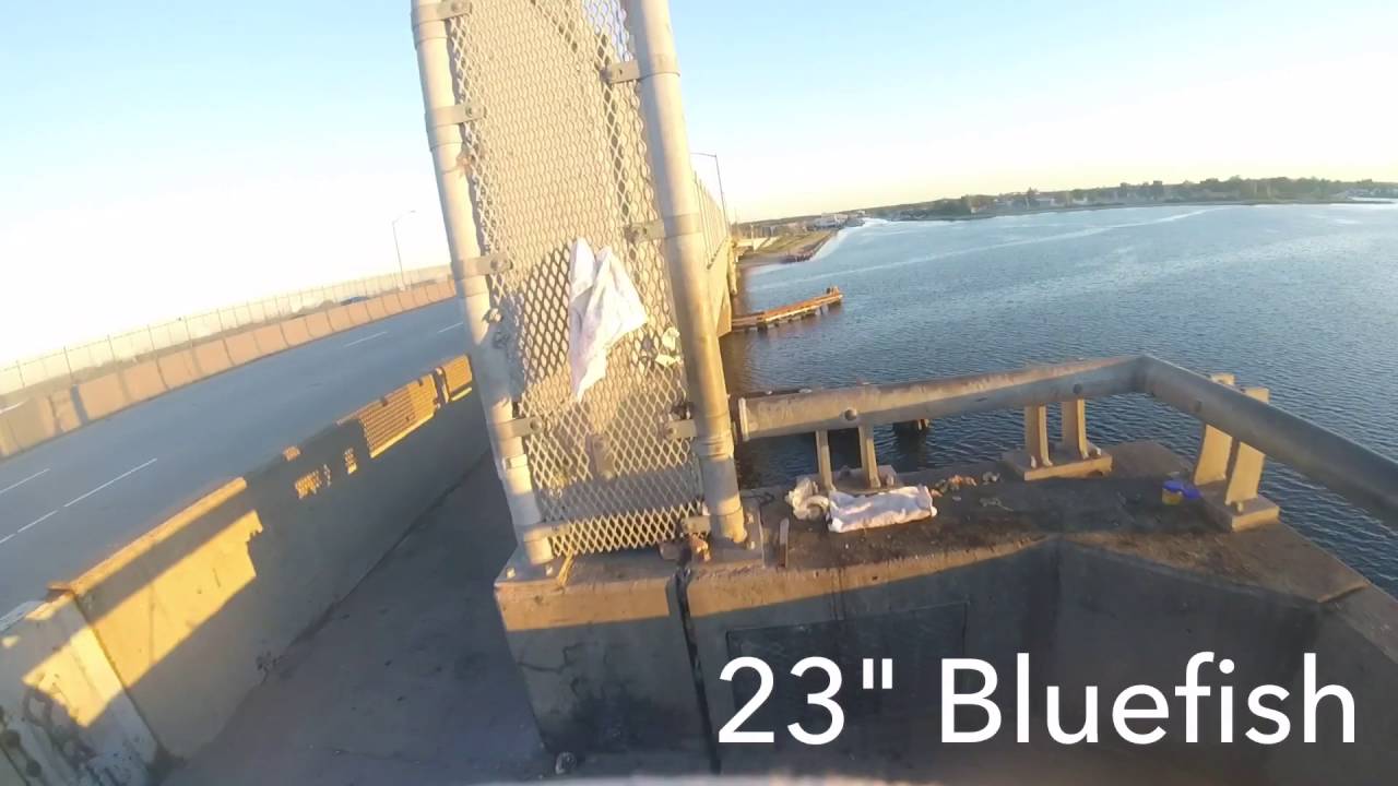 Bluefish on Crossbay Bridge 9/12/2016 - YouTube