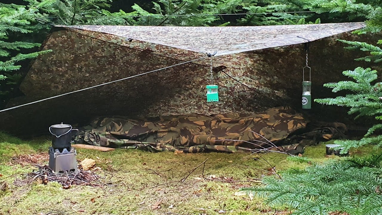 Pine Forest Wild Camping - YouTube