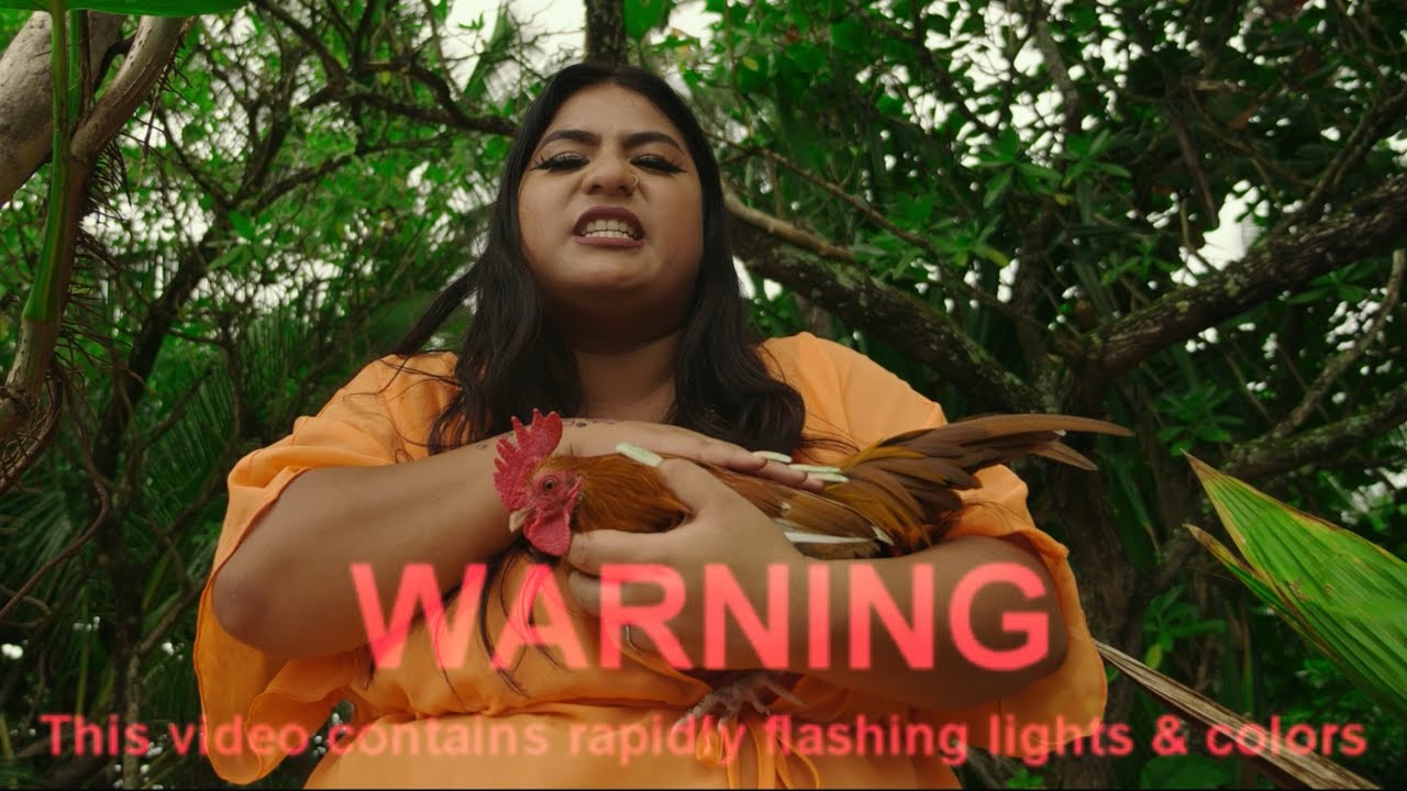 Brandy G Island Hoe (Official Music Video) Warning Strobe effects ...