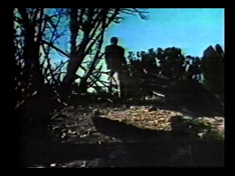 Nightmare In The Sun (1965) Full Movie