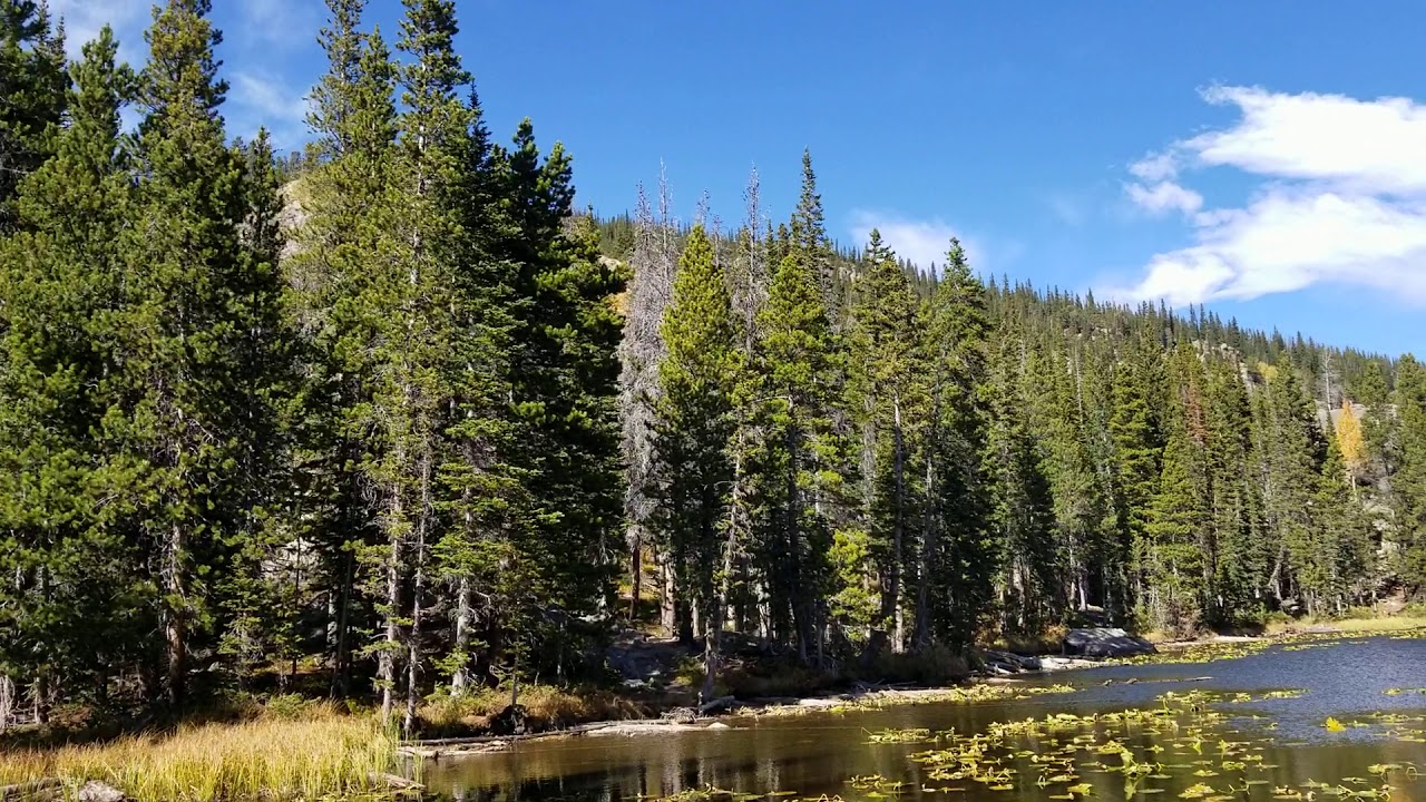 Nymph Lake Hike Rocky Mountain National Park - YouTube