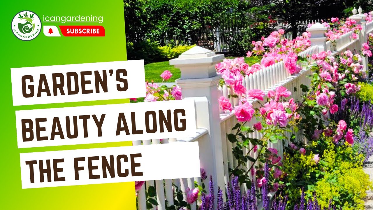 Fence Flair || Enhancing Your Garden's Beauty Along the Fence - YouTube