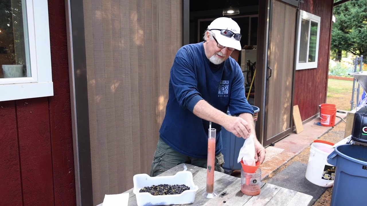 Brix Test with Hydrometer - YouTube