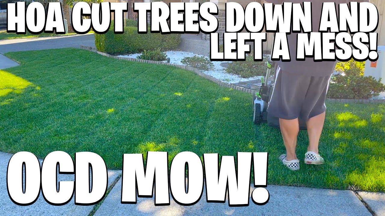 Tree Cutting Mess ~ Had to do a quick mow HOA trimmed the trees and ...