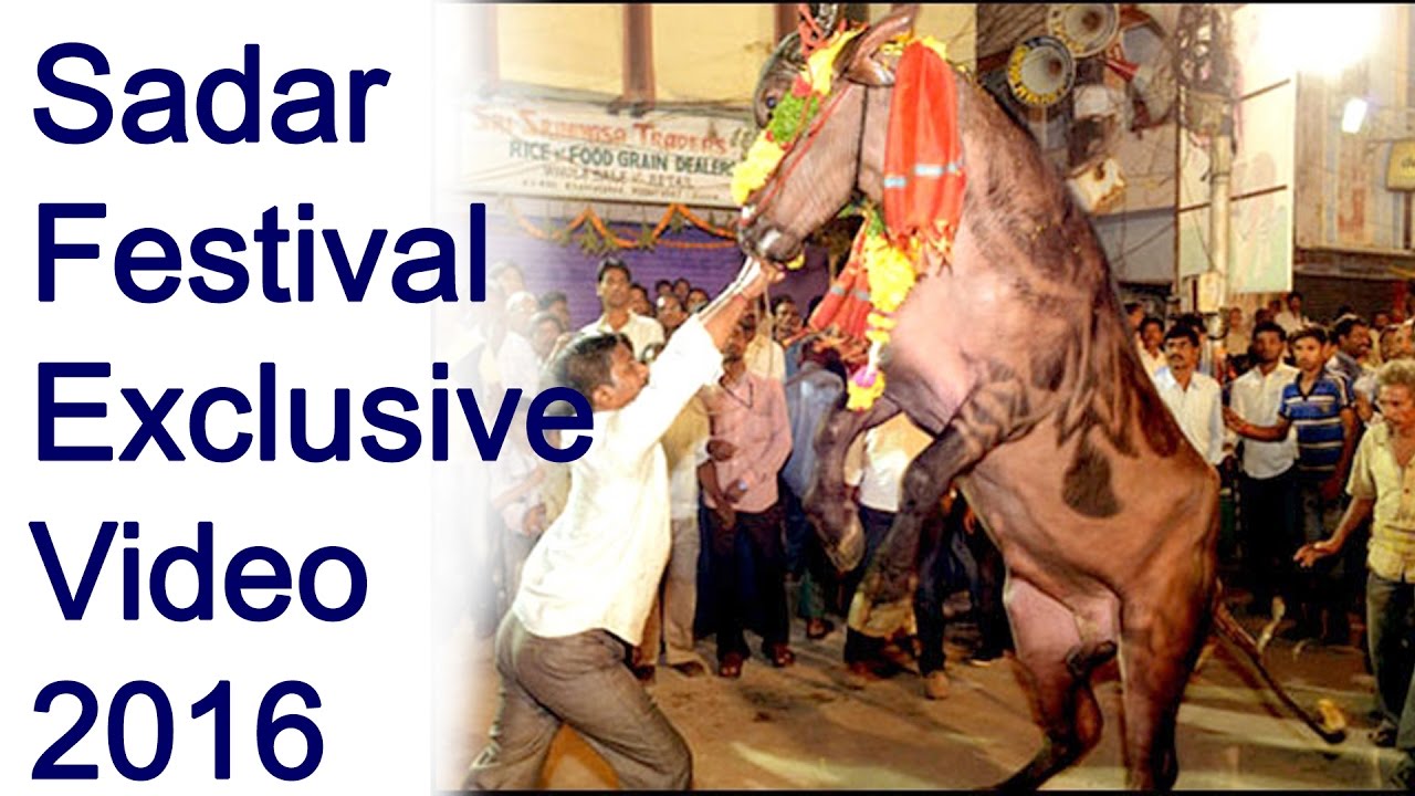 Sadar Festival 2016 Exclusive Video | Hyderabad | Saidabad | Old City ...
