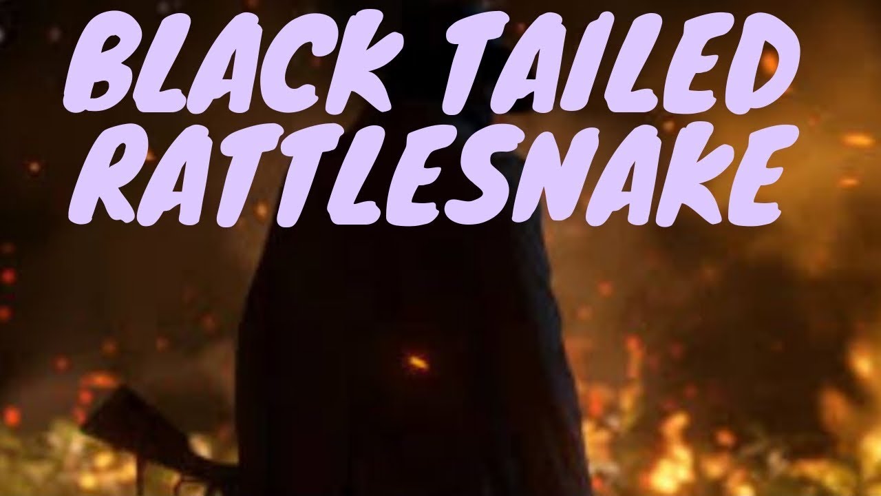 Red Dead Redemption 2 Black tailed rattlesnake - YouTube