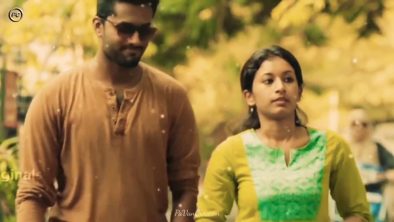💖New Whatsapp Status Video 2020 💖| Love Status 💖| New Song Status 2020 ...