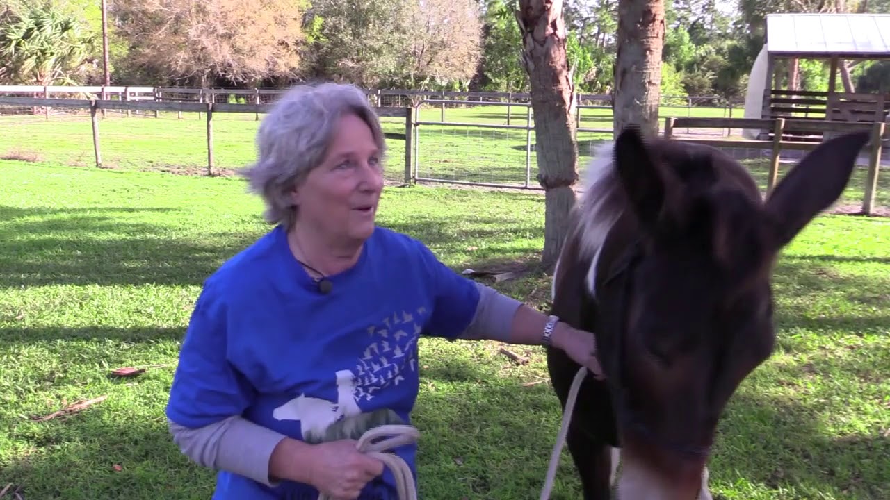 Dr. Julia Blackmore MULE Doctor - YouTube