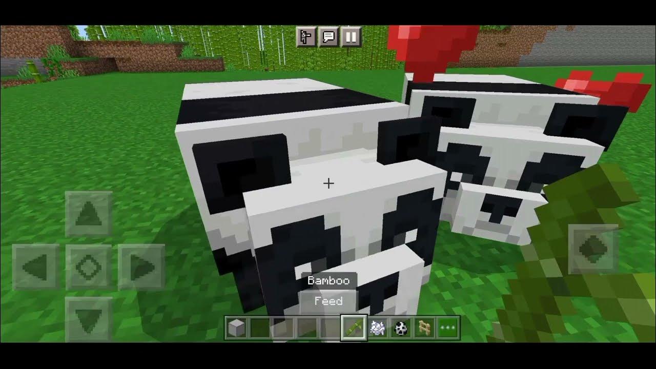 How to Breed Pandas in Minecraft (1.18) 🐼 ||Game Master 360 - YouTube