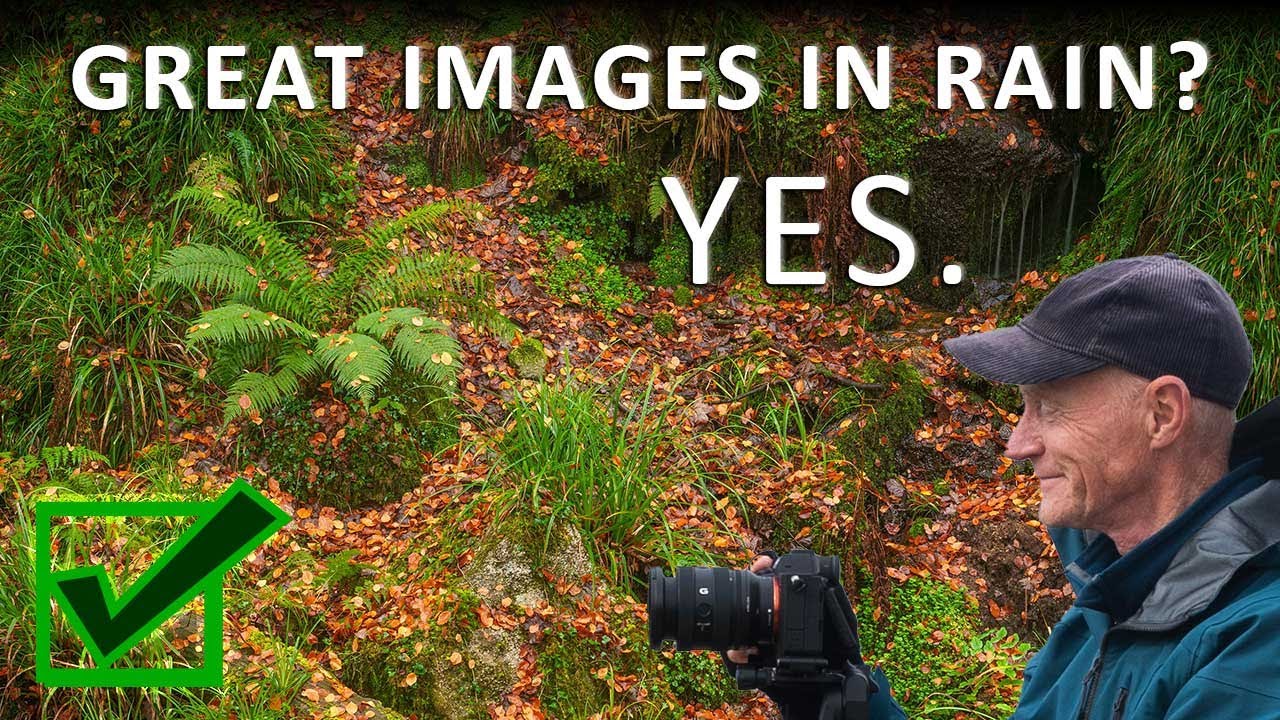 Photography in the Rain; great images made in the wet. Woodland and ...