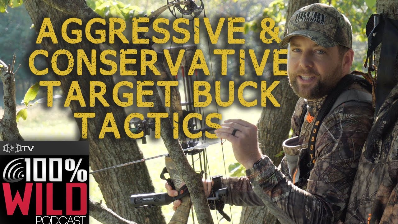 Aggressive and Conservative Target Buck Tactics - 100% Wild Podcast ...
