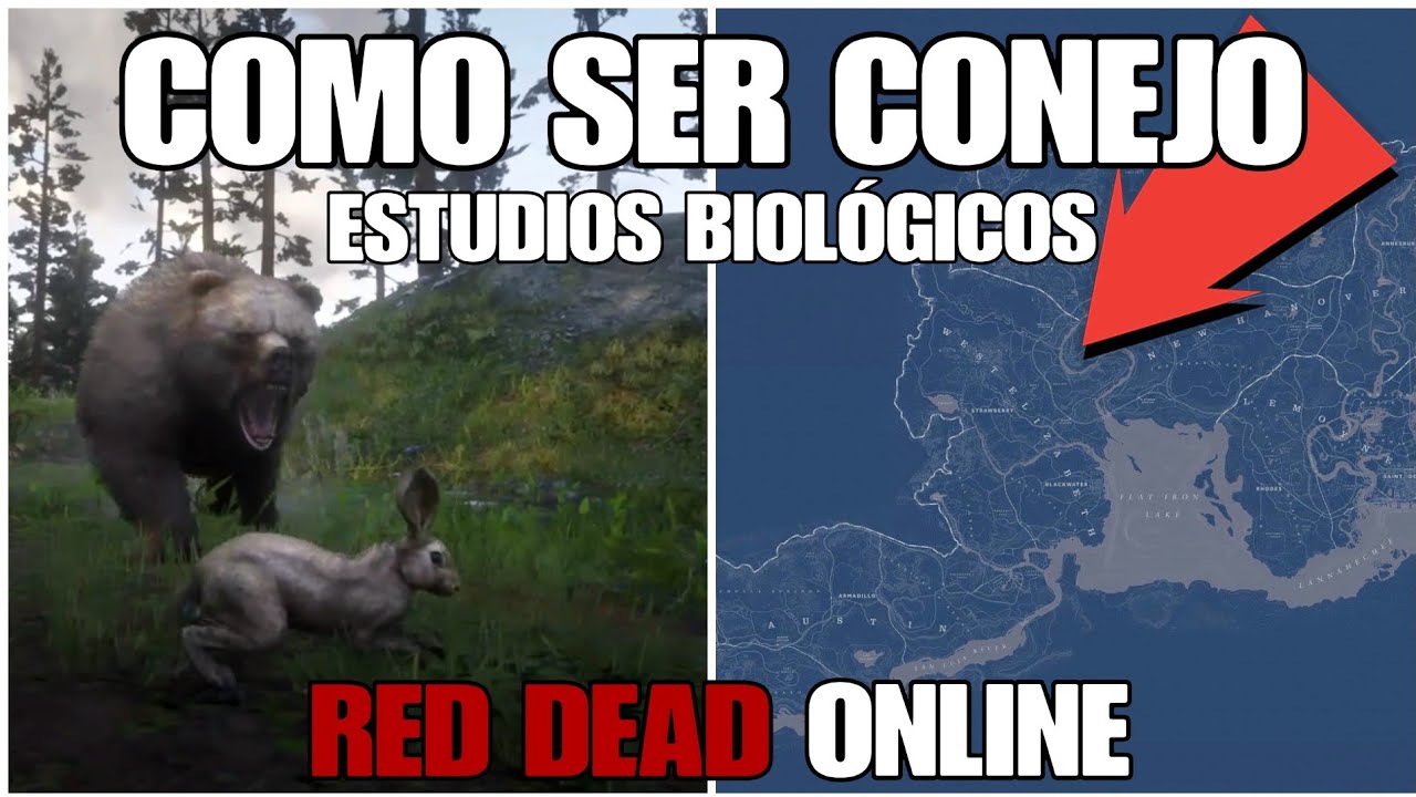 Red Dead Online COMO SER UN CONEJO Ubicación HARRIETUM OFFICINALIS RDR2 ...