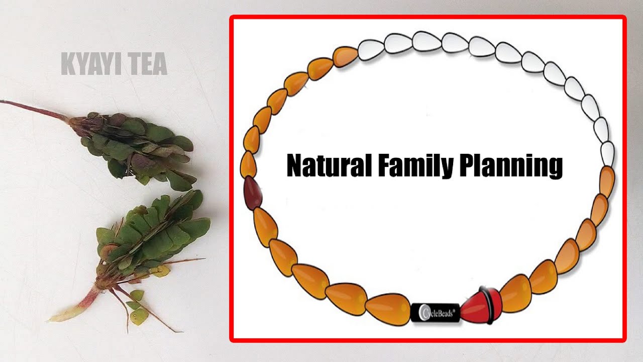 Natural Family Planning Eno Jjetanire Ejja Kuyamba Moon Beads - YouTube