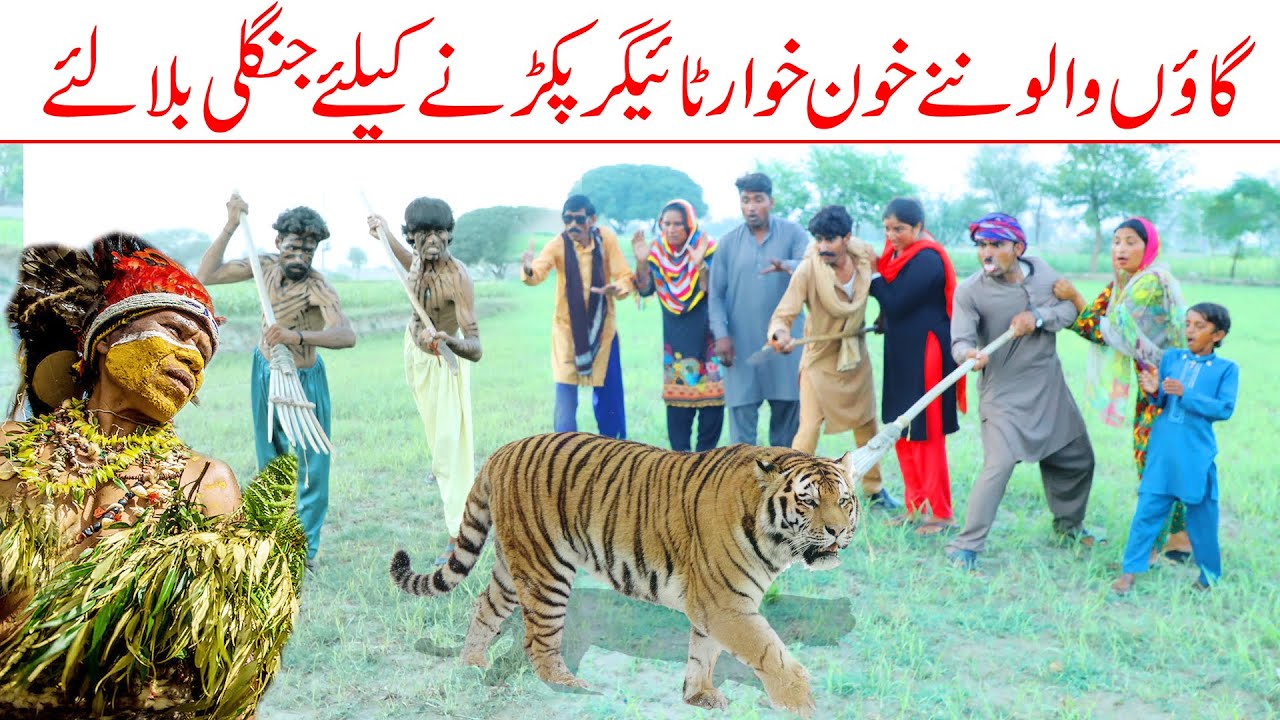 Tiger//Bhotna,Shoki, Bilo ch koki Cheena & Sanam Mahi New Funny Video ...