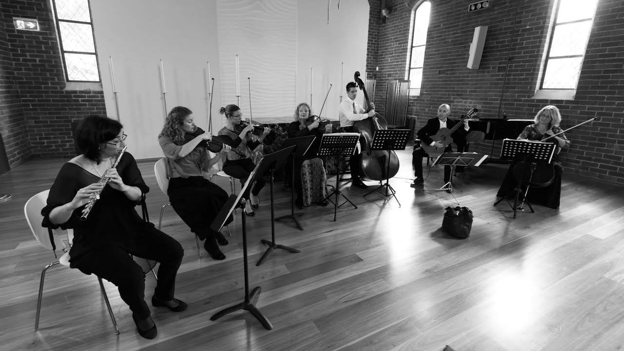 Flamingo Tango - YouTube