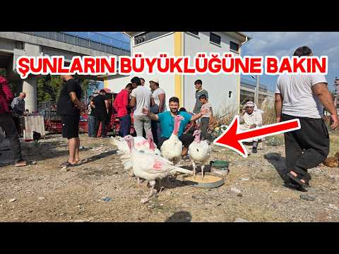Osmaniye Tavuk Pazarını Devler Basmış