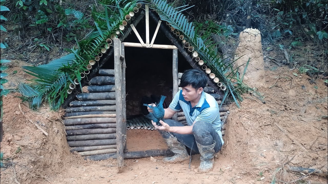 solo bushcaft: Build a survival shelter and skillful bird trap by ...