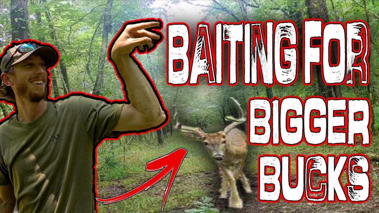 You Will Find BIGGER Bucks When You Start Doing THIS! - YouTube