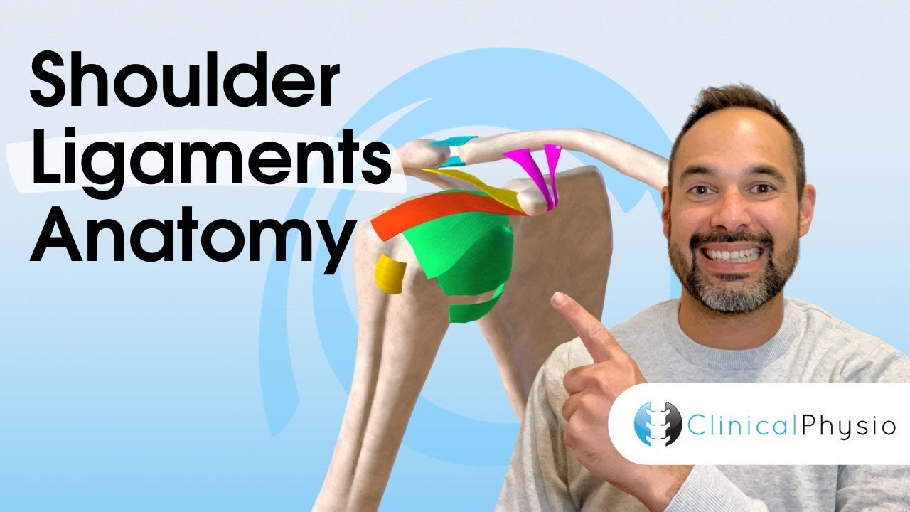 Clinical Anatomy of Shoulder Ligaments | Expert Physio Guide - YouTube