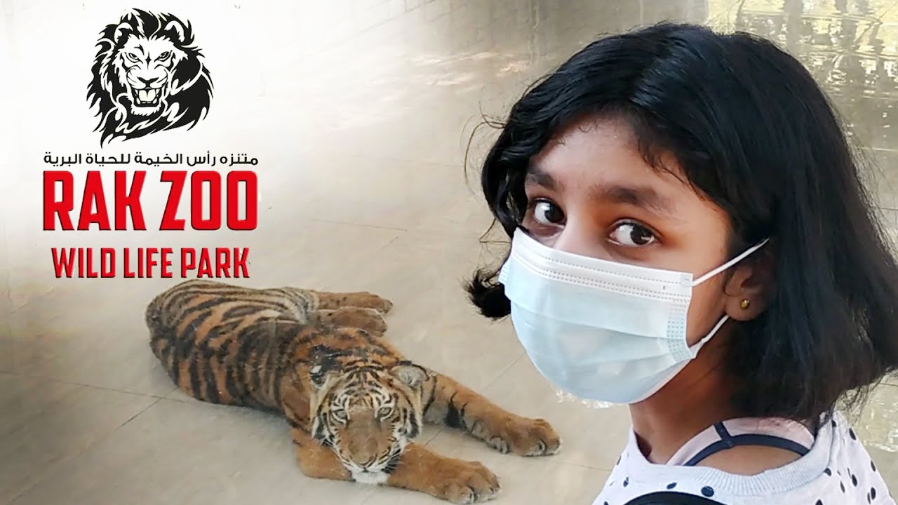ZOOS IN THE UAE - RAS AL KHAIMAH ZOO - BIGGEST WILDLIFE ZOO IN UAE ...