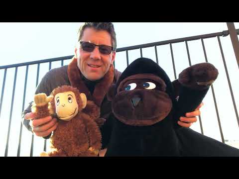 Monkey See, Monkey Do - YouTube