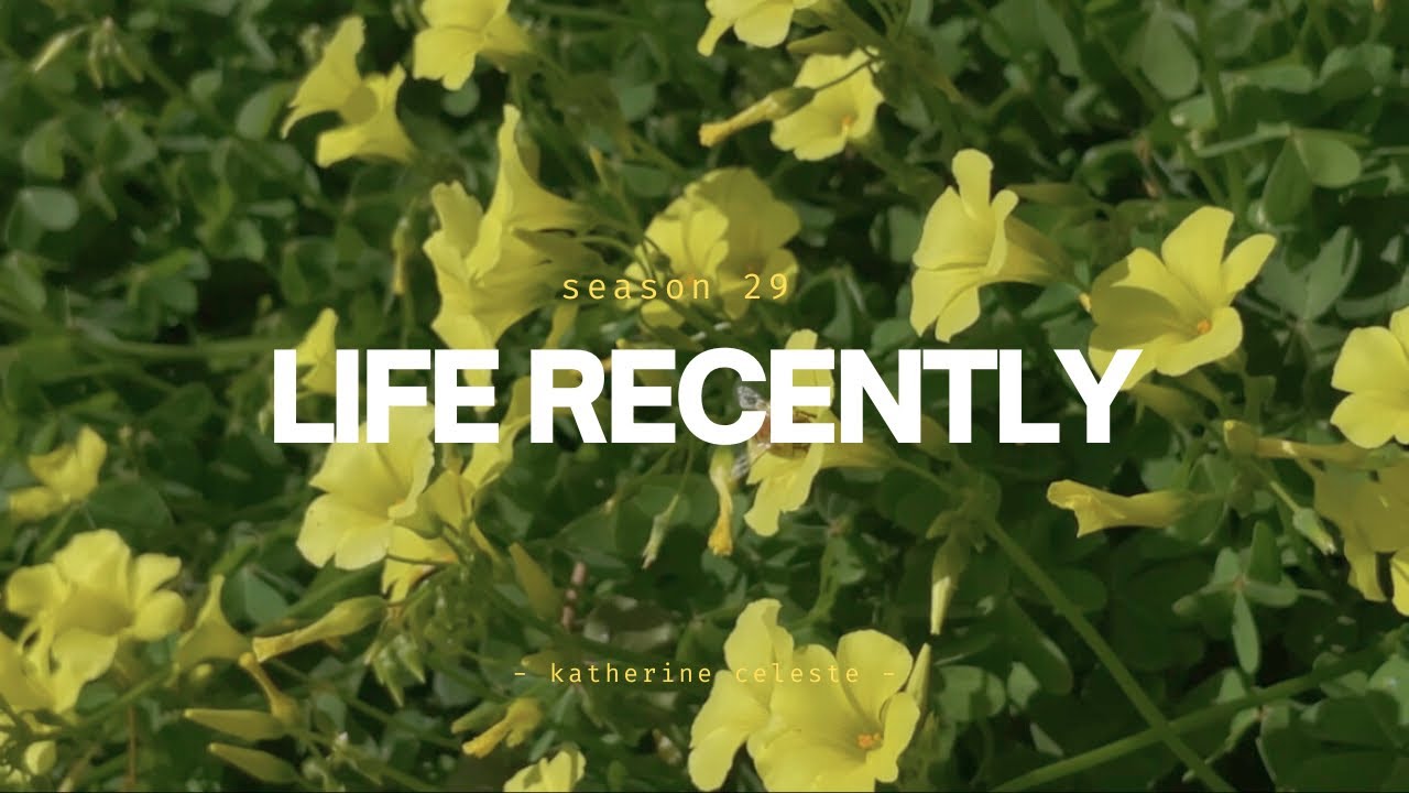 life recently - YouTube