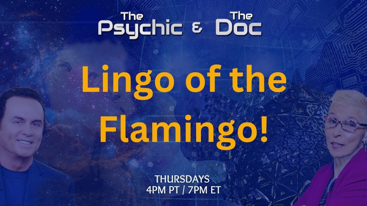 Lingo of the Flamingo! | The Psychic and The Doc with Mark Anthony and ...