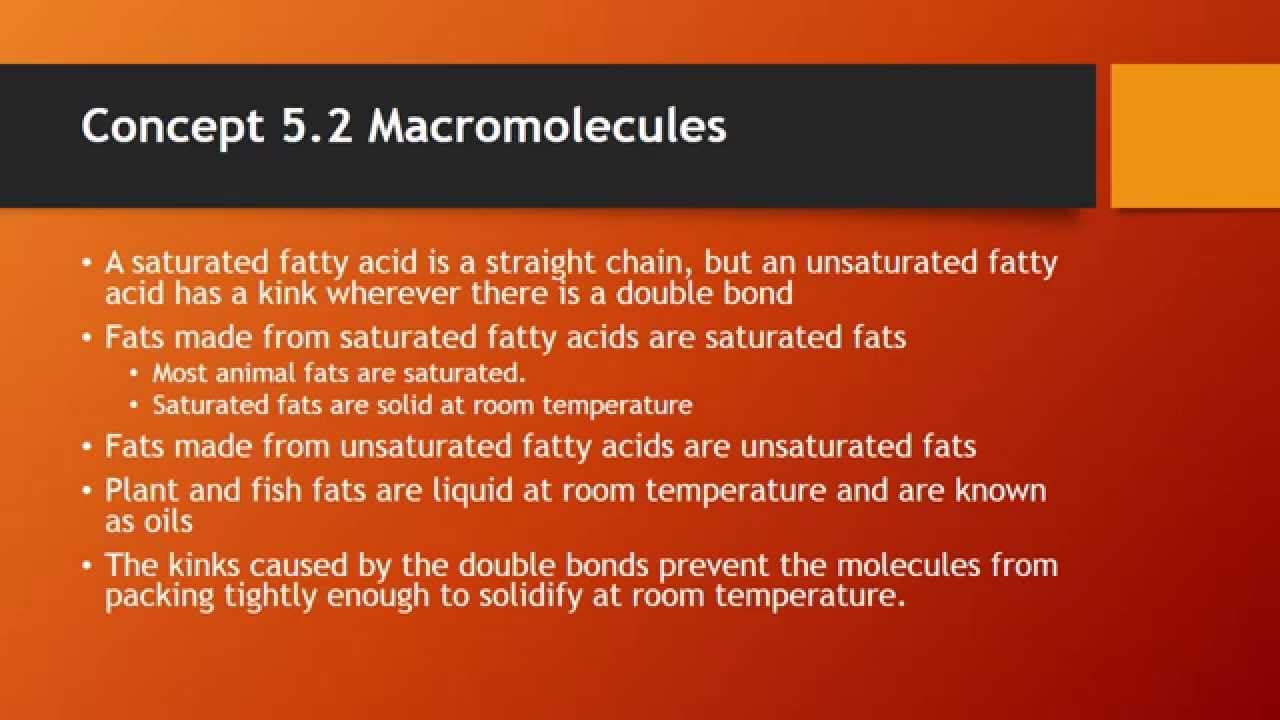 The Structure and Function of Macromolecules Part 1 - YouTube