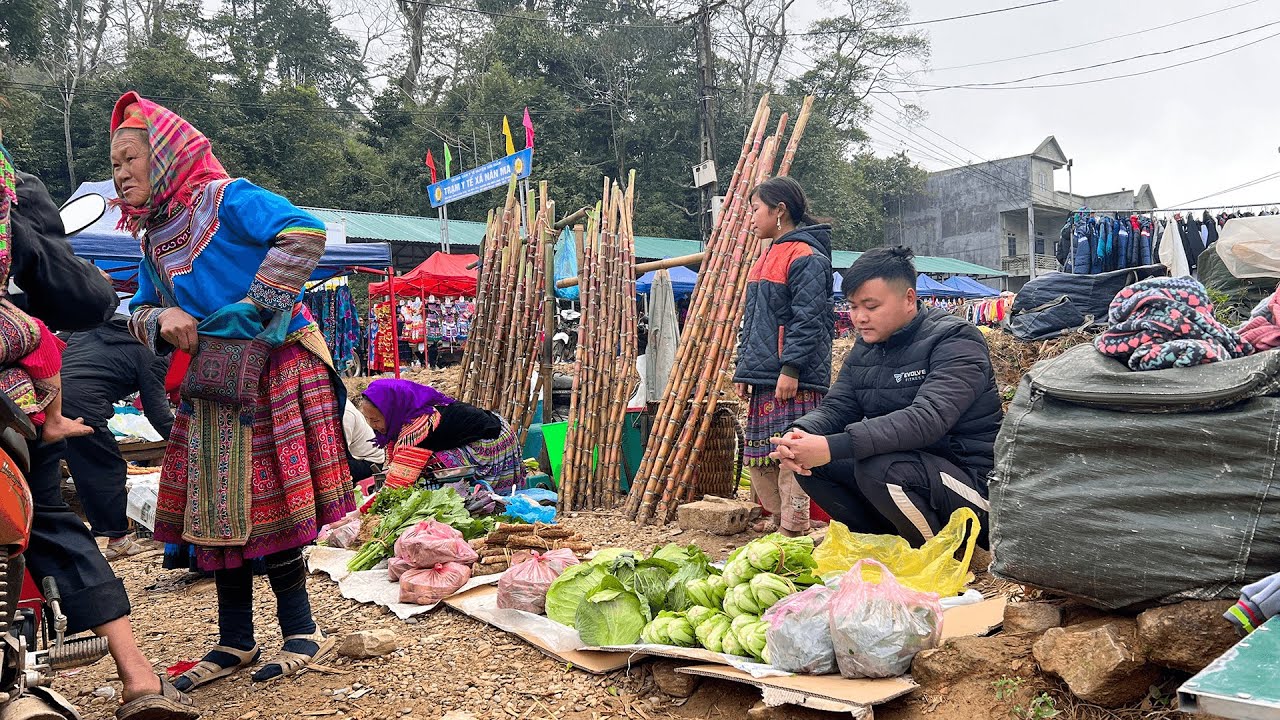 Harvest vegetables and ginger to bring to the market to sell - YouTube