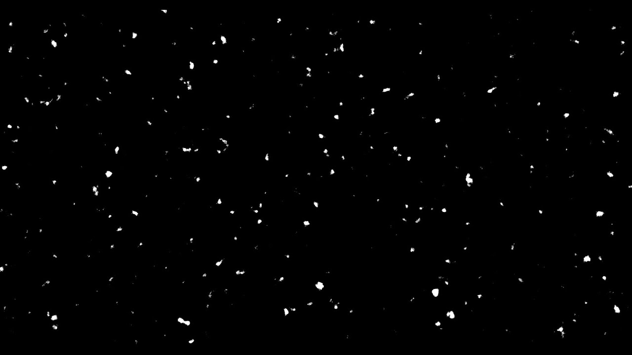 Dust particles black screen, Dust overlay effects, Dust particles black ...