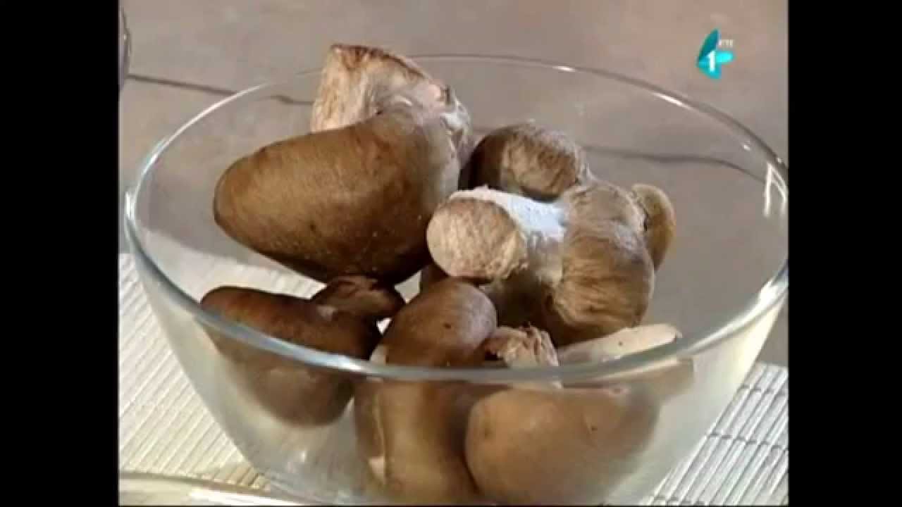 Shitake pecurke - Zeleni Sat RTV Vojvodine - YouTube