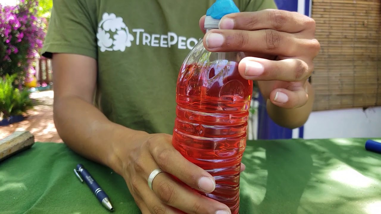 Outdoor Science Activity for Kids: Build your own thermometer - YouTube