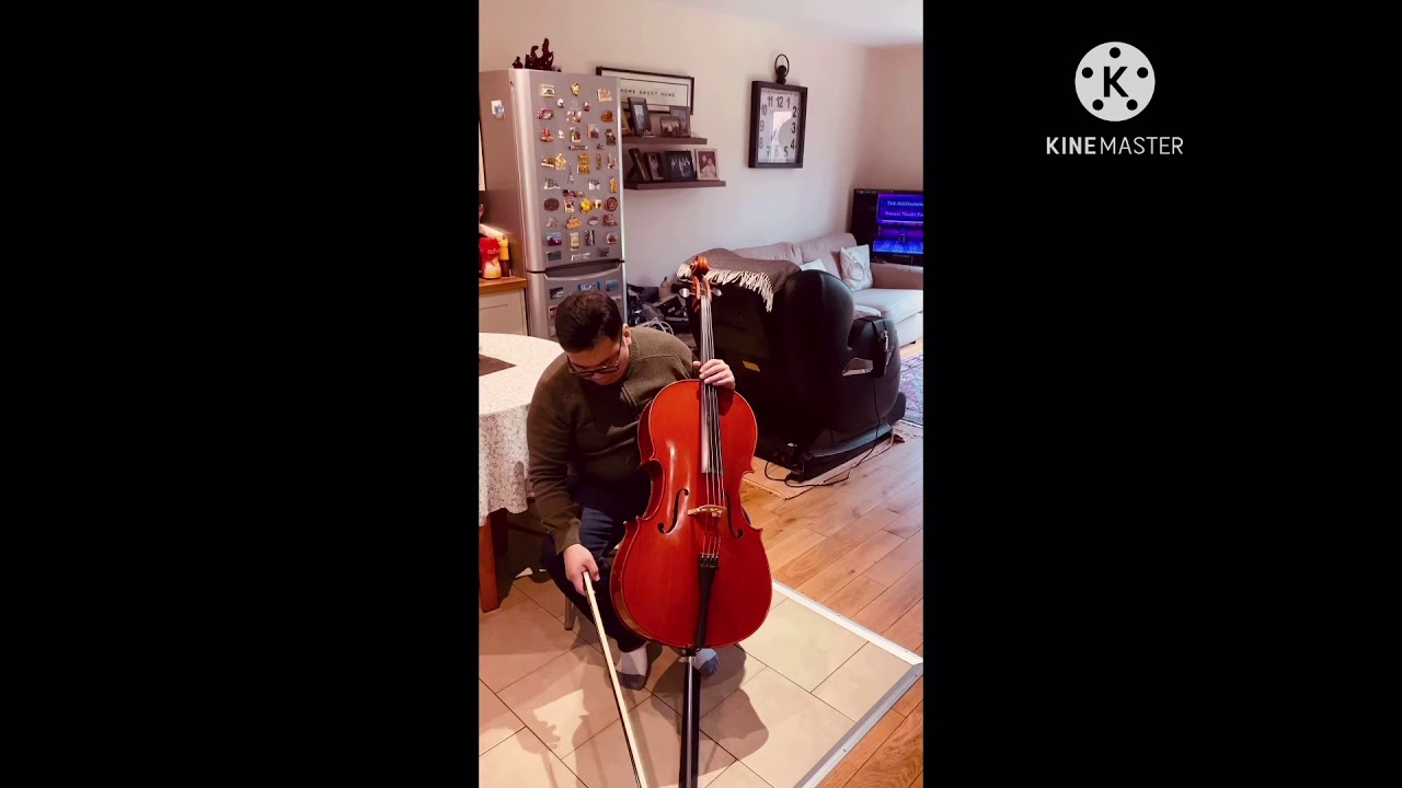 Sun and Moon cello cover - YouTube
