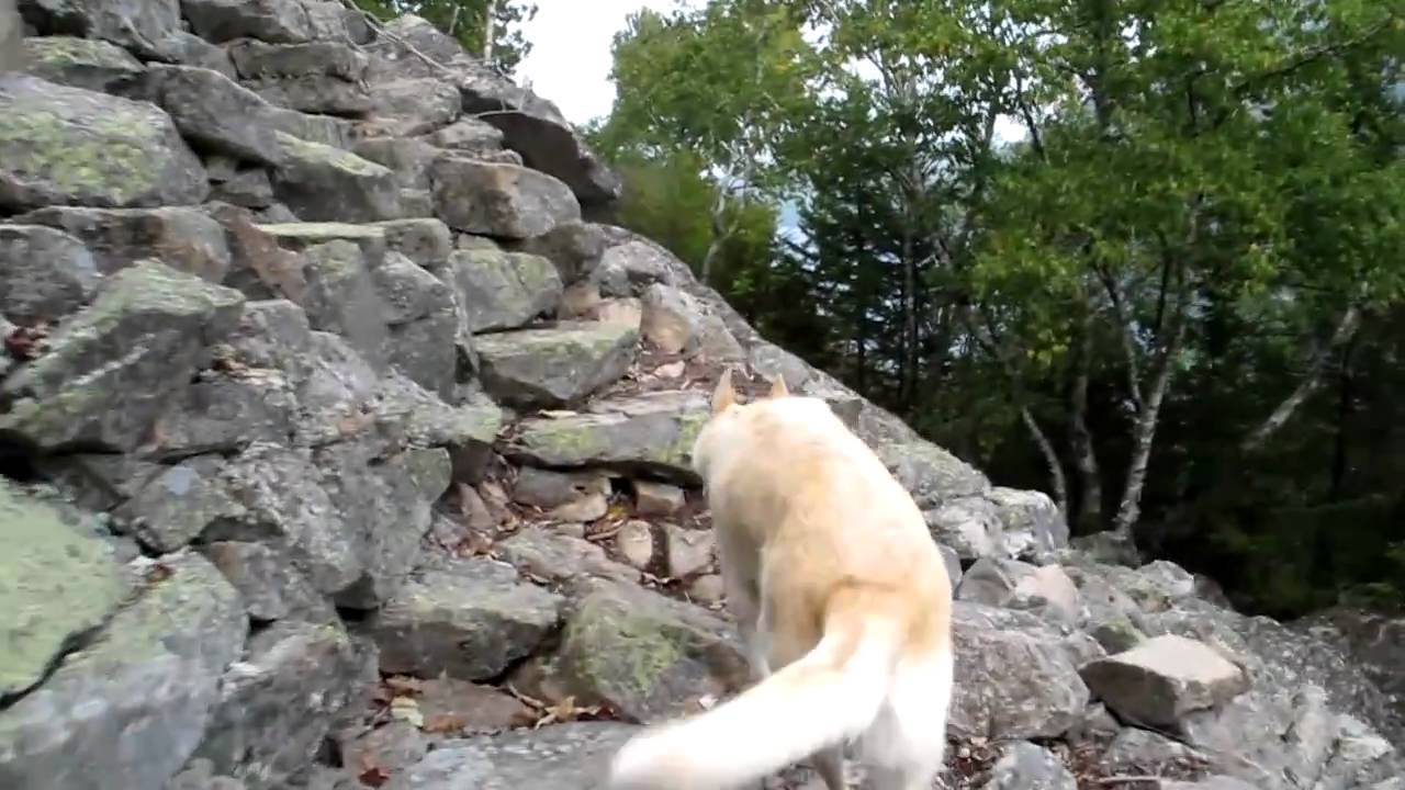 Canon PowerShot G12 720p VIdeo Sample #1