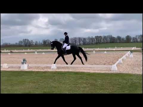 Sudooro 1478 tävling Laholm - YouTube