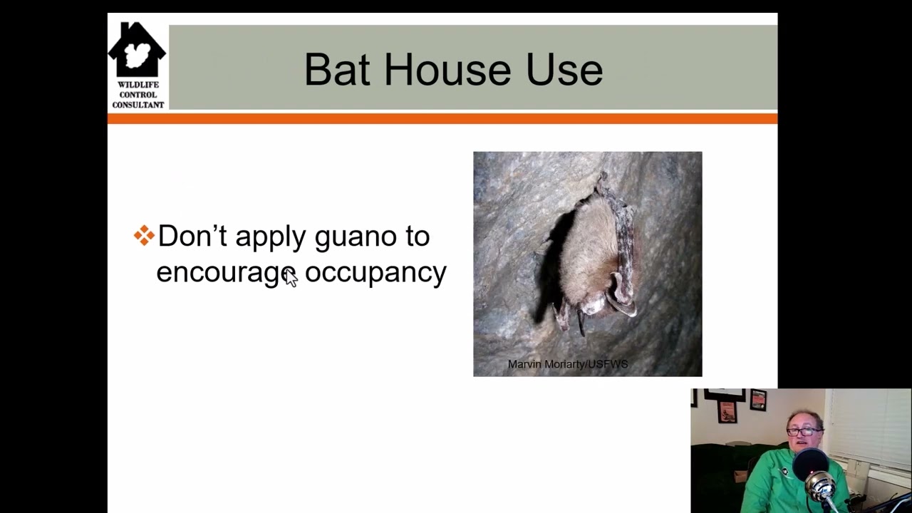 Usfws Bat House Design