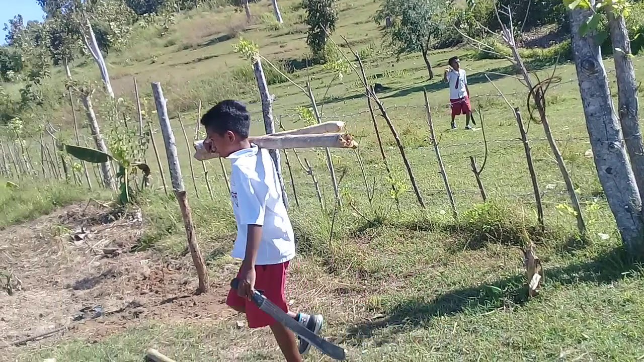 Mulok pertanian - YouTube