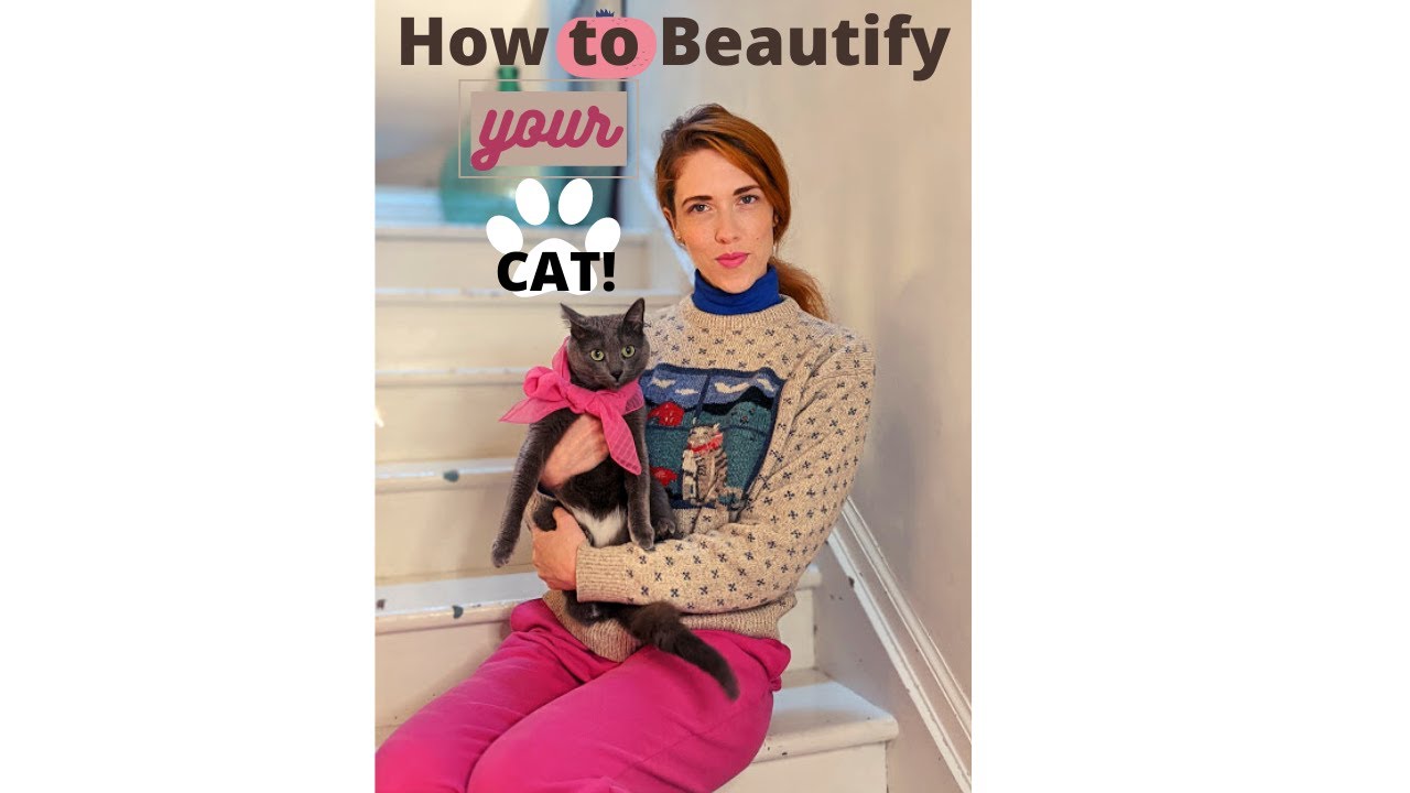 Cat Grooming in 3 Easy Steps with Sheila Davidson - YouTube