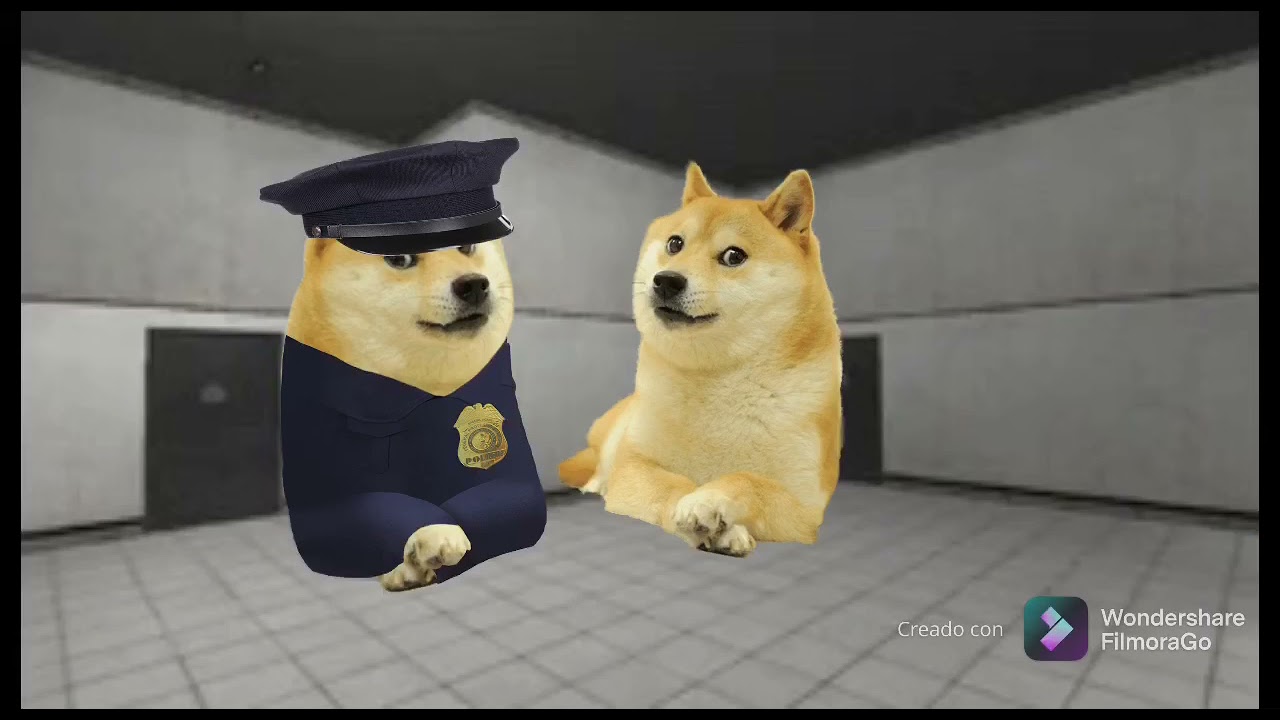 SCP doge parte 1 - YouTube
