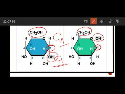 Anomers of glucose and fructose|Differences between epimers and anomers ...
