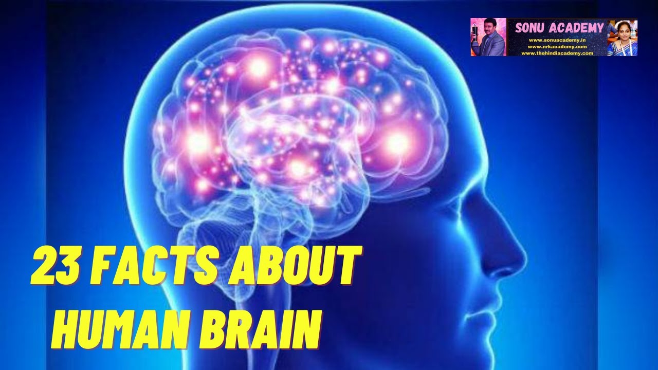 Human Brain | Amazing facts -23 | Interesting facts | #brain - YouTube